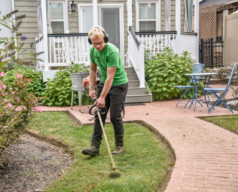 Sustainable Practices in Tree Care and Landscaping - ivy invite
